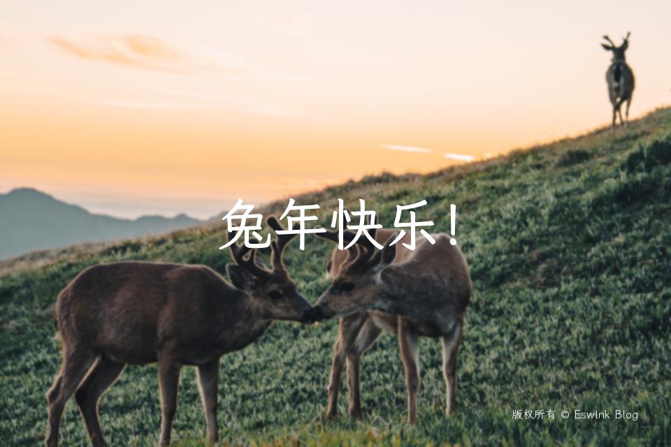 兔年快乐！ – Eswlnk Blog